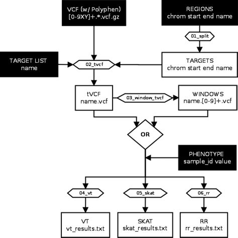 Github Vforgetrare Variant Pipeline Analyze Genomics Regions Using Multiple Rare Variant