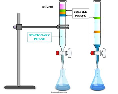 chromatography techniques and key components
