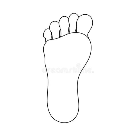 Isolated Object Of Body And Part Symbol Set Of Body And Anatomy Stock