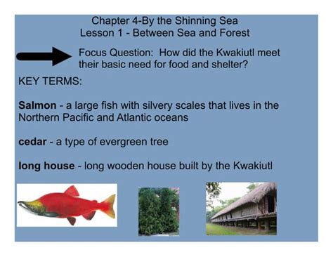 Chapter 4 Lesson 1 Pdf