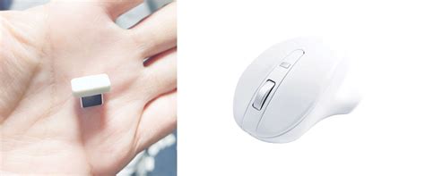 Cordless Mouse Buy Portronics Toad 25 Wireless Mouse With Usb Nano