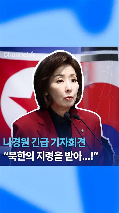 나경원 긴급 기자회견 북한의 지령을 받아” 판사 다음 루프