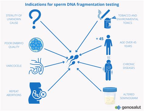 Sperm Dna Fragmentation Test Genosalut
