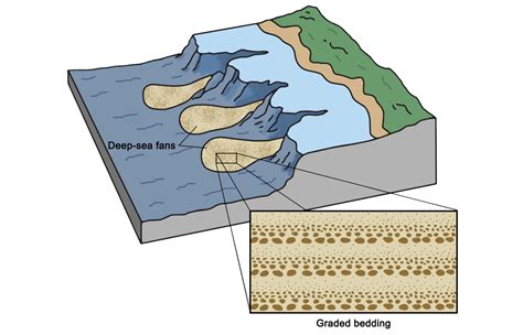 Turbidity Currents At Dylan Trouton Blog