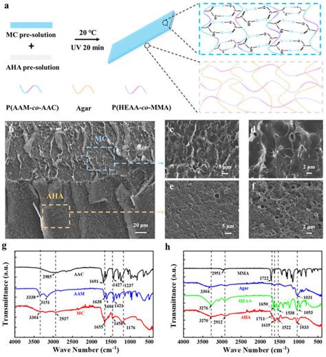 Polymers Special Issue Advances In Functional Polymer Materials For Biomedical Applications