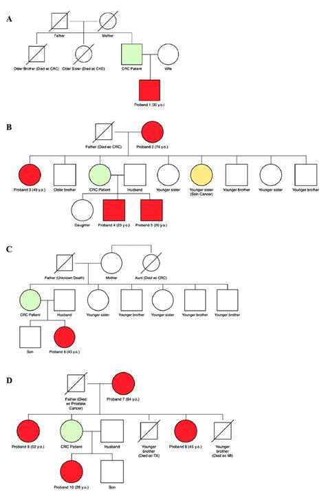 Pedigree Analysis In The Hereditary Crc Patient A Mr A 67 Year Old Download Scientific