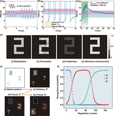 Optoelectronic Synaptic Application For Multi Target Recognition A Download Scientific