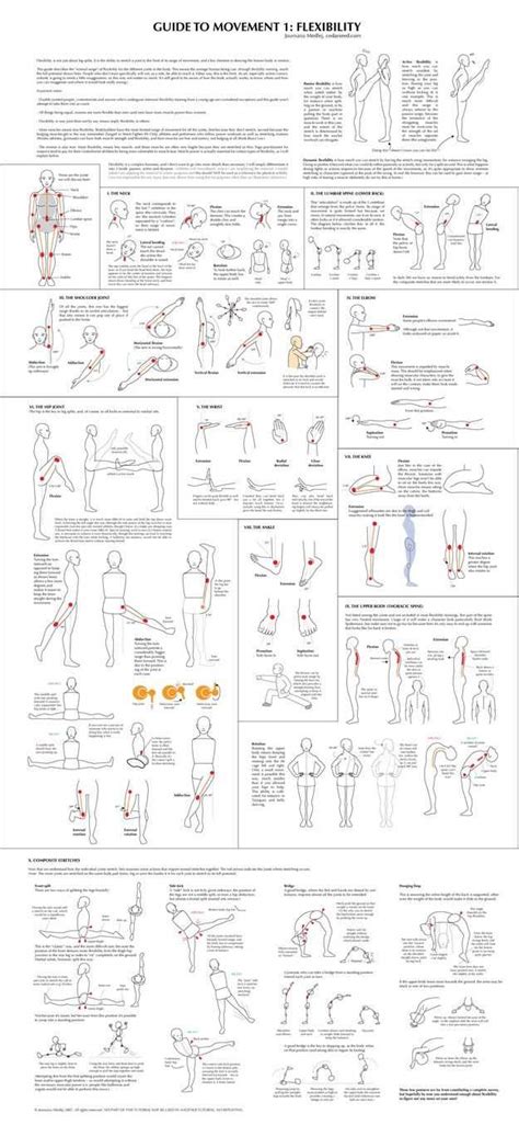 The Ultimate Guide To Understanding Range Of Motion Diagrams