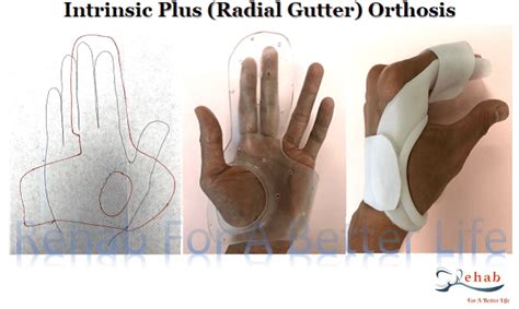 Intrinsic Plus Rehab For A Better Life