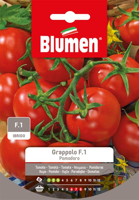 Pomodoro A Grappolo F 1 Blumen
