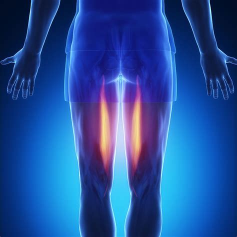Hamstring Tear Hamstring Strain Torn Hamstring Muscle Treatment
