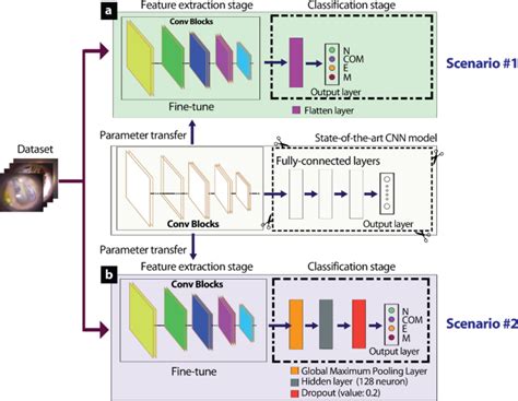 Comprehensive Comparison Of Modified Deep Convolutional Neural Networks For Automated Detection