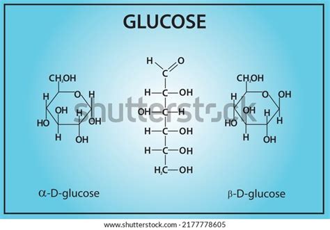 21개의 Glucose Structure And Functional Groups 로열티 프리 이미지 및 스톡 사진