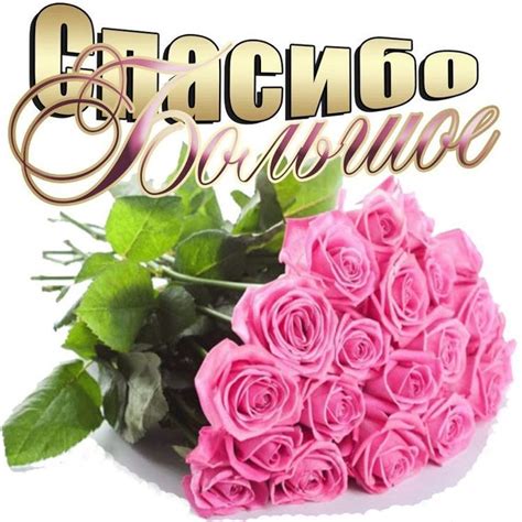 Épinglé Par Марина Хоружая Sur Спасибо