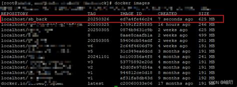Docker容器部署java项目（详细版）docker部署java项目 Csdn博客