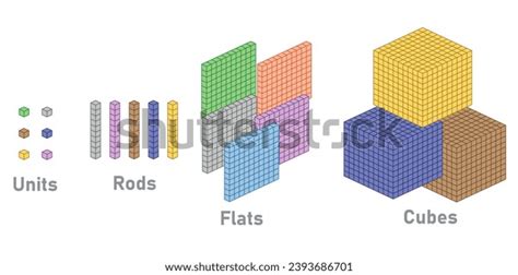 Base 10 Blocks Types Cubes Flats Stock Vector Royalty Free 2393686701