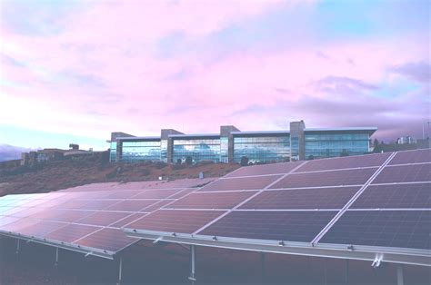 Michelle Terhune On Linkedin How Business Owners Can Positively Impact The Environment