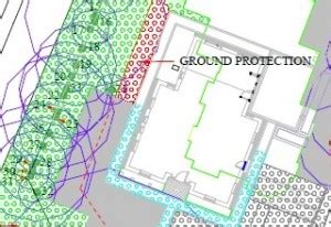 Tree Surveys Tree Surveys