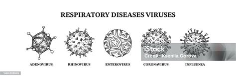 호흡기 질환 바이러스 손으로 그린 미생물 세트 스케치 스타일의 과학 벡터 그림 호흡기 세포융합 바이러스에 대한 스톡 벡터 아트 및 기타 이미지 호흡기 세포융합 바이러스