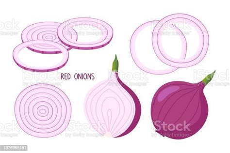 흰색에 고립 된 보라색 양파 전구 반 다진 반지 레스토랑 메뉴 농산물 시장 채식 레시피 요리야채 성분 붉은 달콤한 양파의 벡터