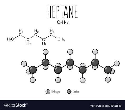 Heptane Skeletal Structure And Flat Model Vector Image