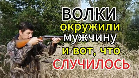 Реакция ВОЛКИ окружили мужчину и вот что случилось потом Kaidar Live правда Youtube