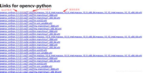 【实用】使用whl包的方式安装opencv的办法opencv的whl Csdn博客
