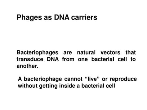 Generalized And Specialized Transduction Transformation And Conjugation Ppt Genetics Science