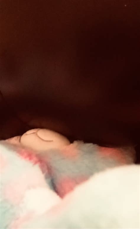 Plushie Face Fart Slave