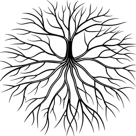Abstract Roots Vector Art Icons And Graphics For Free Download