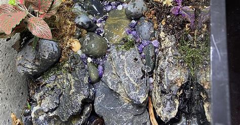 Water Flow Album On Imgur