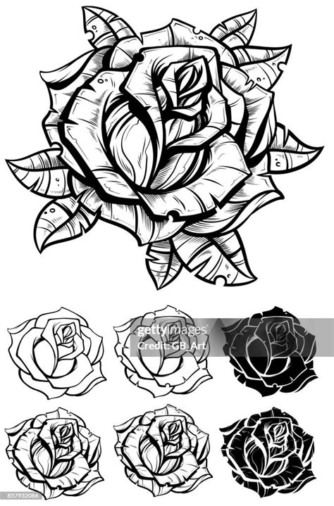 Black And White Graphic Realistic Detailed Rose High Res Vector Graphic Getty Images