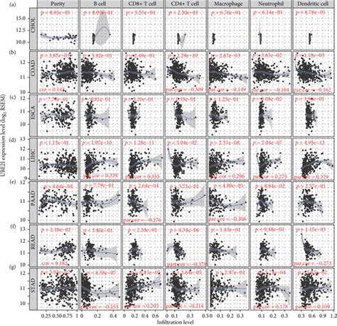 Correlation Analysis Of Ube2i Expression With Immune Infiltrates Ag Download Scientific