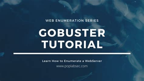 gobuster tutorial web enumeration tutorial learning web server