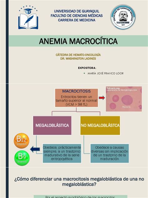 Anemia Macrocitica Pdf Anemia Rtt