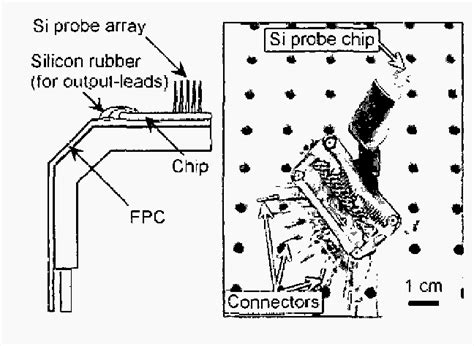 Figure 1 From Neural Recording With Low Invasive Si Microprobe Array Semantic Scholar