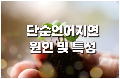대구아동발달센터 단순언어발달지연 아이의 특성 알아보기 네이버 블로그 대구아동발달센터 단순언어발달지연 아이의 특성 알아보기 네이버 블로그