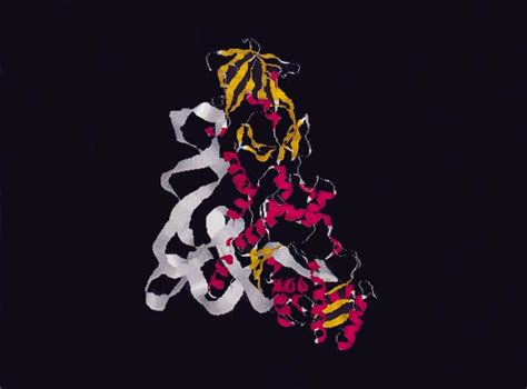 Crystal Structure Of TRNA Gln And GlutaminyltRNA Synthetase Arnez Download Scientific