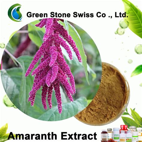 Buy Amaranth Extract Amaranthus Caudatus Extract Price For Sale From Green Stone