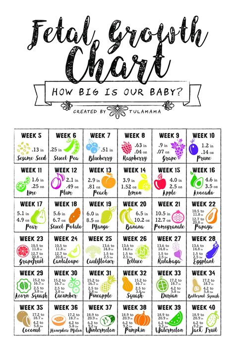 Printable Growth Chart