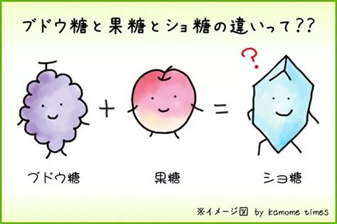 ブドウ糖と果糖とショ糖の違いって何？これでアナタも糖博士！？