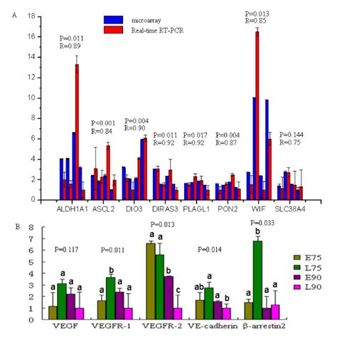 Real Time Rt Pcr Results Of 13 Genes A Validation Of The Microarray