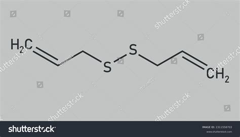 Chemical Structure Of Diallyl Disulfide C6h10s2 Royalty Free Stock Vector 2311558703