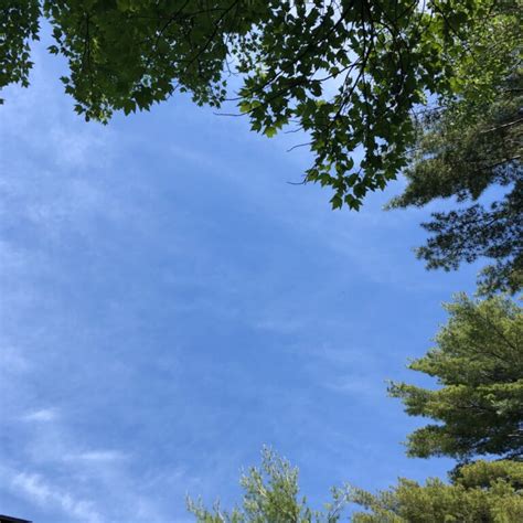 Stratus Cloud Appreciation Society