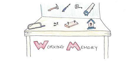 Working Memory A Complete Guide To How Your Brain Processes