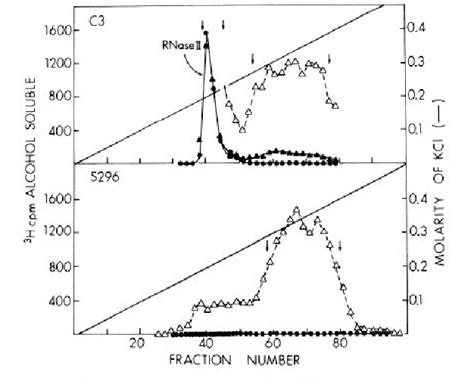 Figure 1 From Purification And Some Novel Properties Of Escherichia Rnase Semantic Scholar