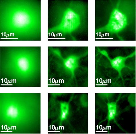 A Technology Developed At The Technion Improves The Quality Of Photographs In The Depth Of The