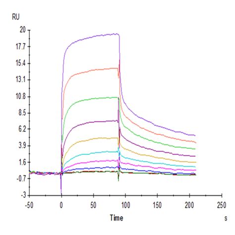 Human Igg4 Fc Protein Igg Hm004 Kactus Biosystems Ushelf
