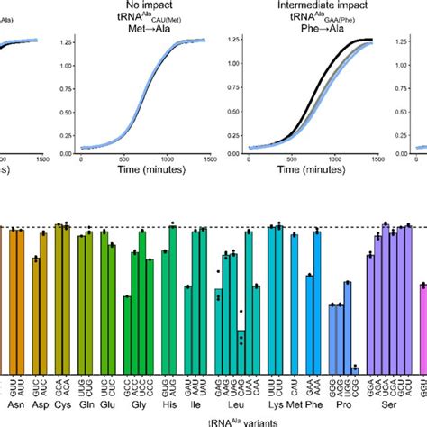 Anticodon Sequence Affects Growth Impact A Relative Growth For Each