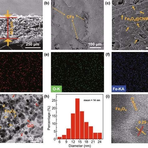 A Cross Sectional View And B C Top View Fesem Images D F Elemental
